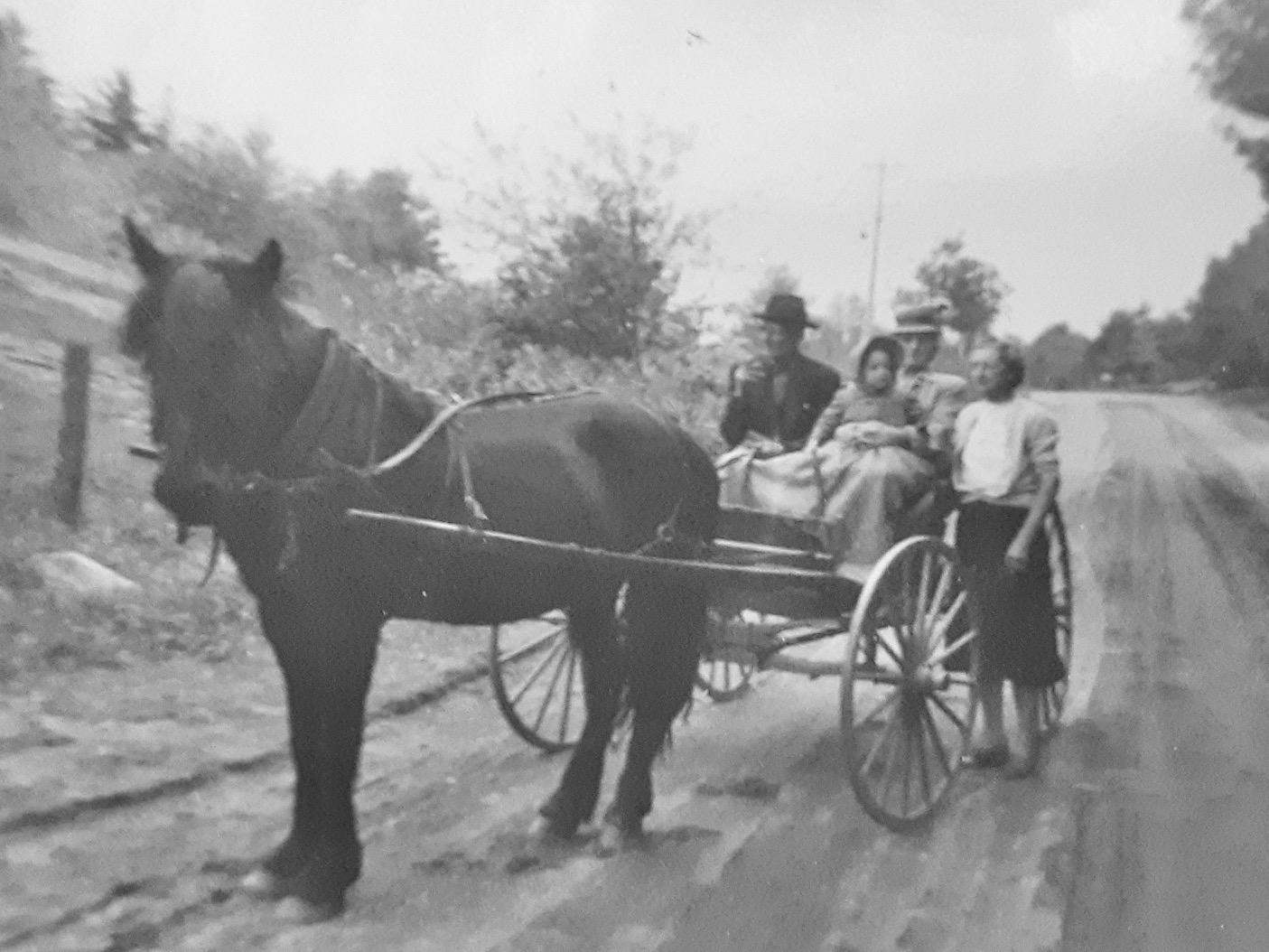 Photo Updates – Up to Rawdon